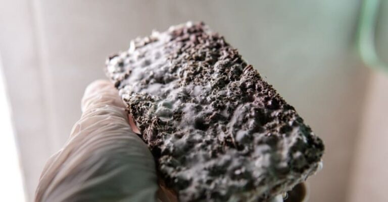 What is an asbestos survey - AirMD Environmental Testing